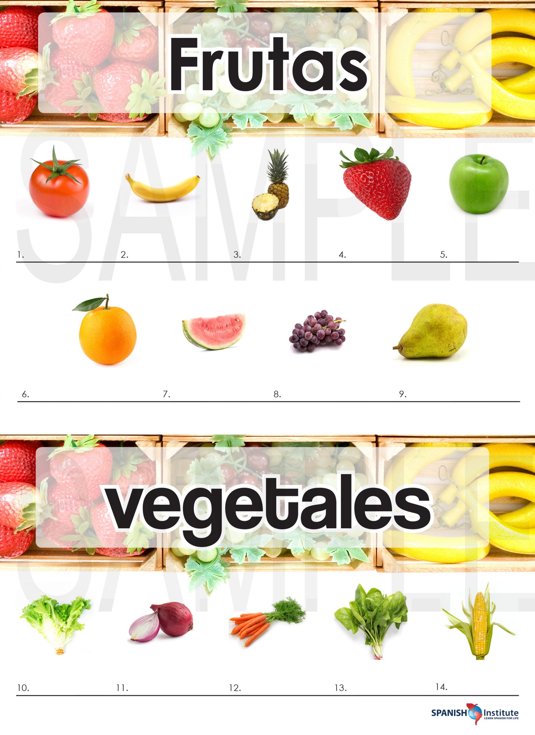 Primeros Pasos - #1 Spanish Preschool & Elementary Classes in Colorado